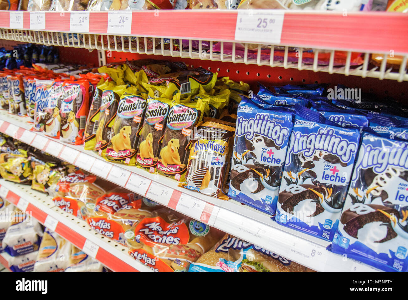 Cancun Mexico,Mexican,Yucatán Peninsula,Quintana Roo,Avenida Coba,Oxxo ...