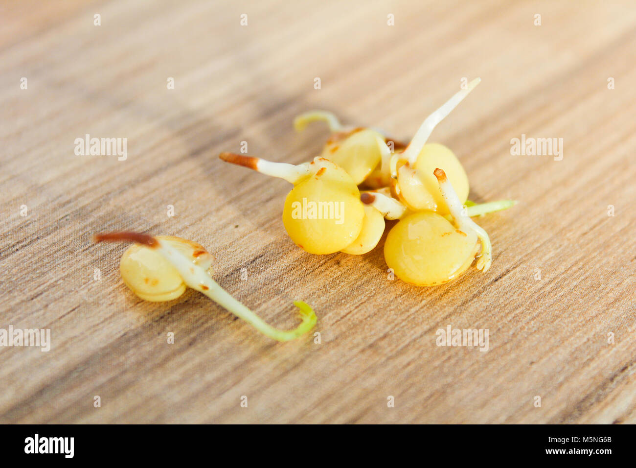 Group germinate lentil on wooden background, health food, legume Stock ...