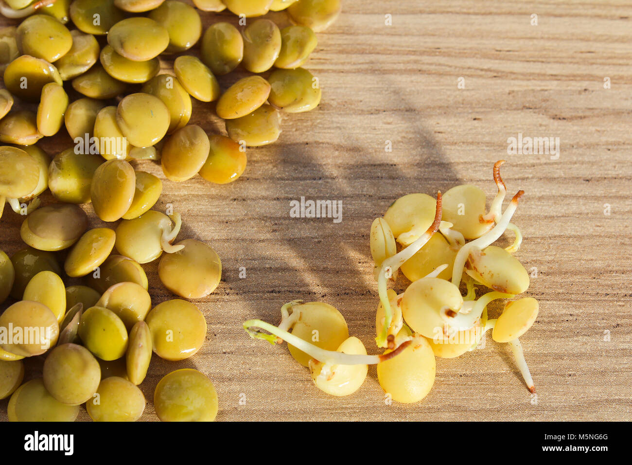 Group of germinate lentil on wooden background, health food Stock Photo ...