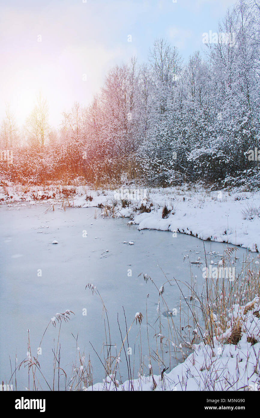 Frozen small pond with snow, trees and sun. Czech landscape Stock Photo ...