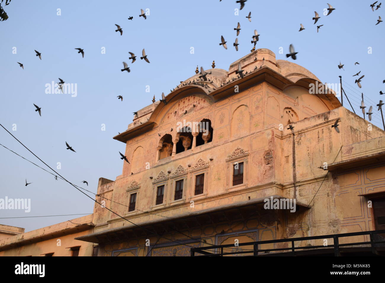 Detail of the facade of a typical red building in Jaipur, Rajasthan ...