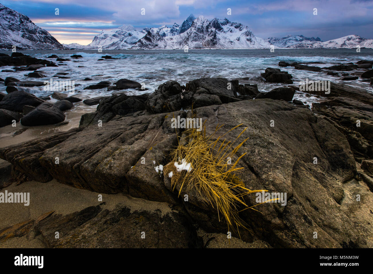 Long tuft hi-res stock photography and images - Alamy
