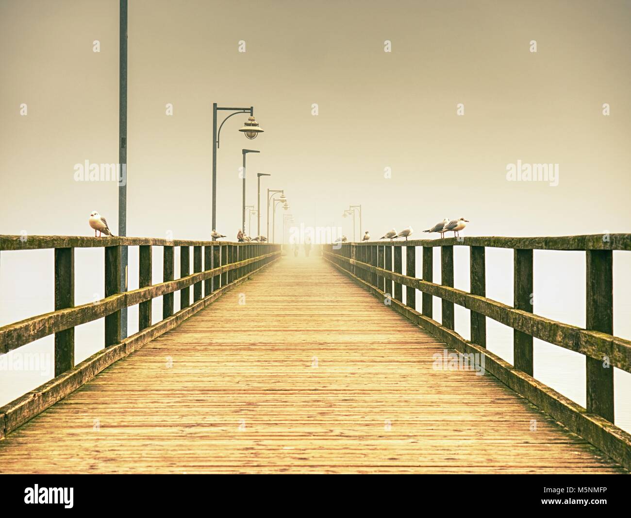 Empty wooden pier in harbor. Steel lamp post, horizon hidden in thick ...