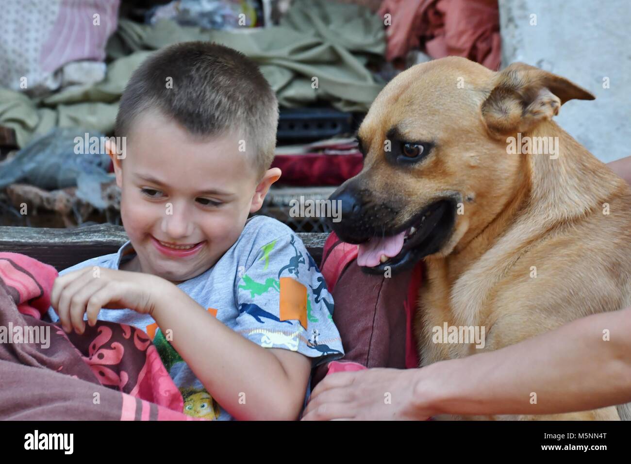 Smiling Little boy is having fun with nice dog as a best friends ...