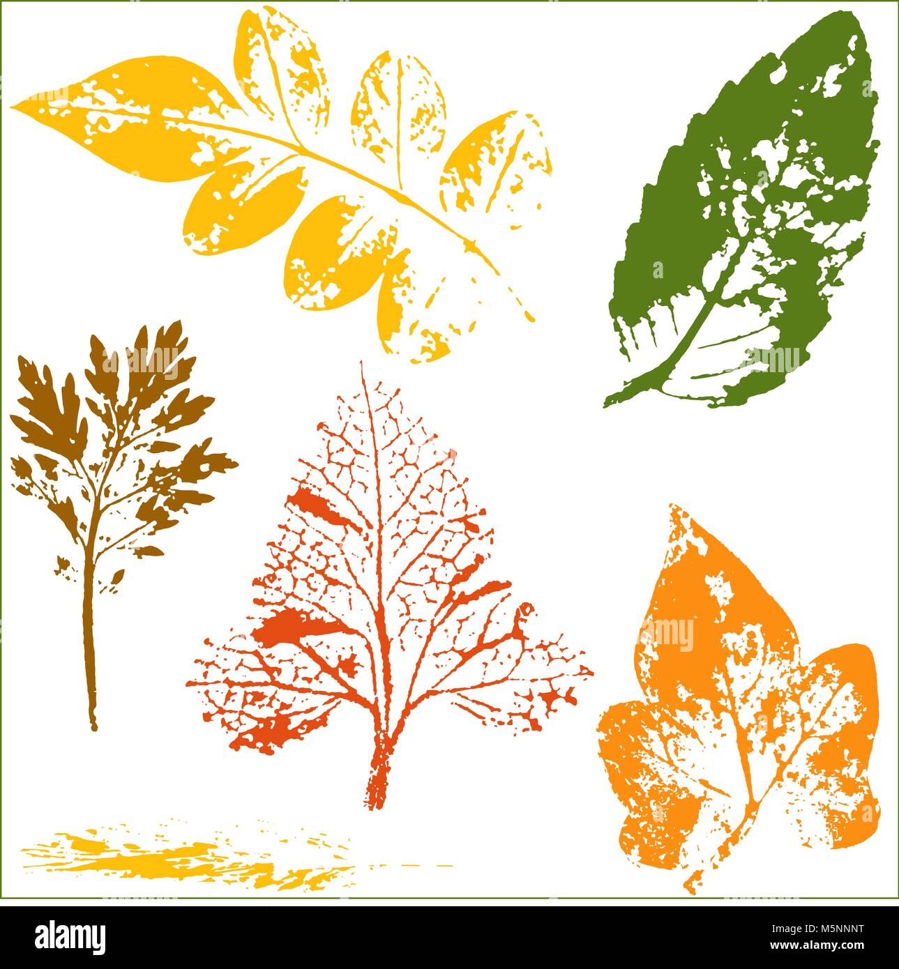 Vector branches and leaves. Hand drawn floral elements. Vector ...