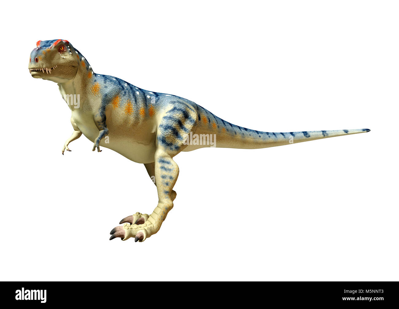 3D rendering of a dinosaur Tyrannosaurus isolated on white background ...