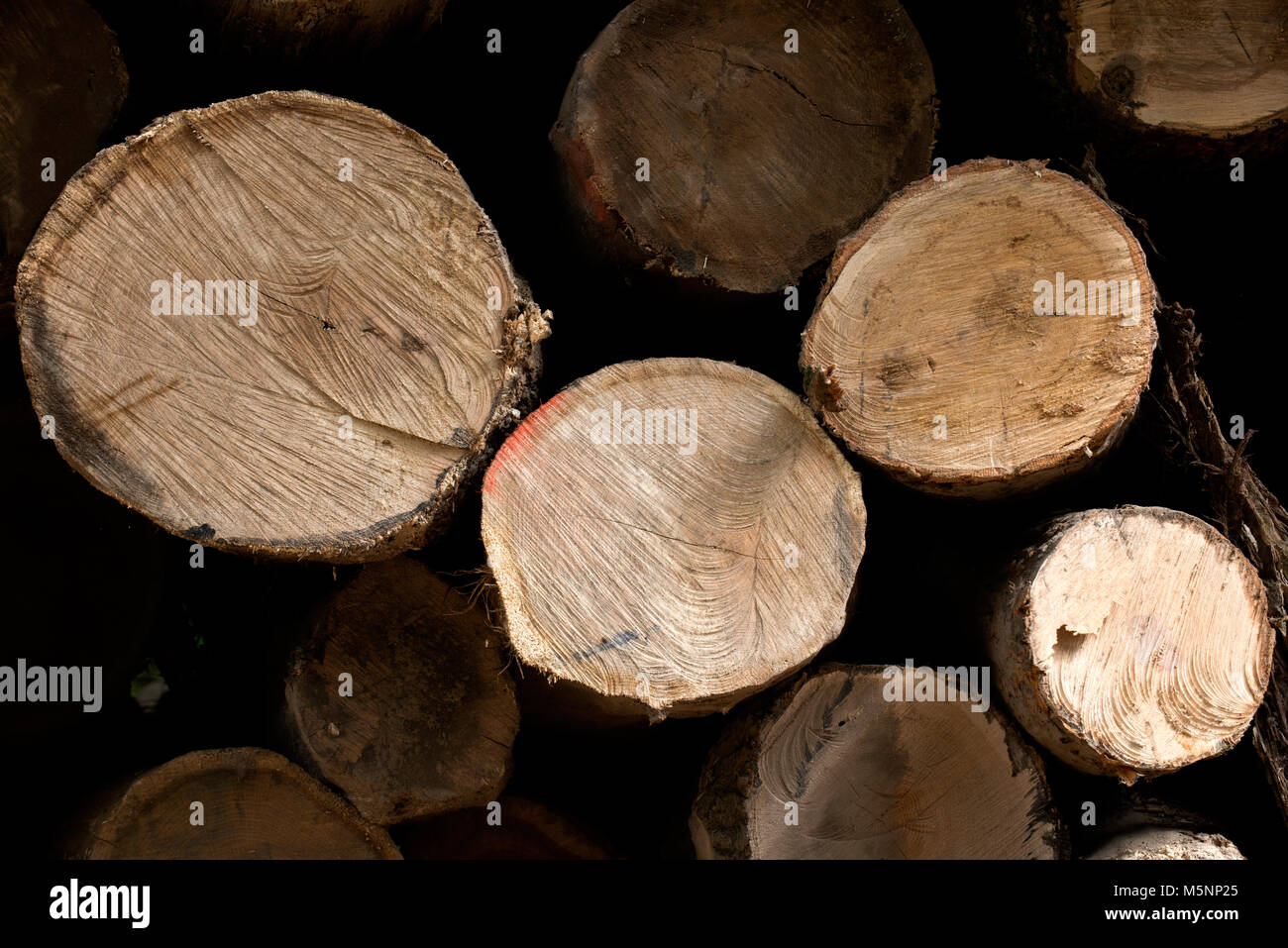 Stack, pile wood logs wooden abstract texture, background Stock Photo ...