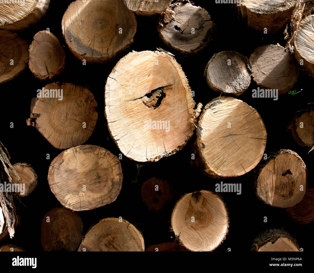 Stack, pile wood logs wooden abstract texture, background Stock Photo ...