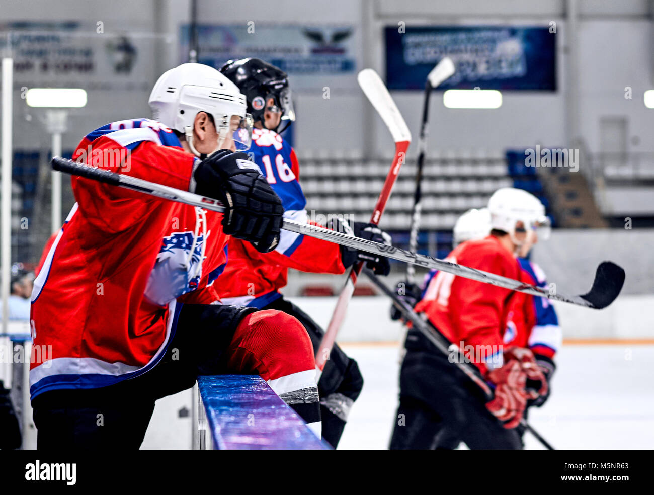 Hockey players on the bench Stock Photo - Alamy