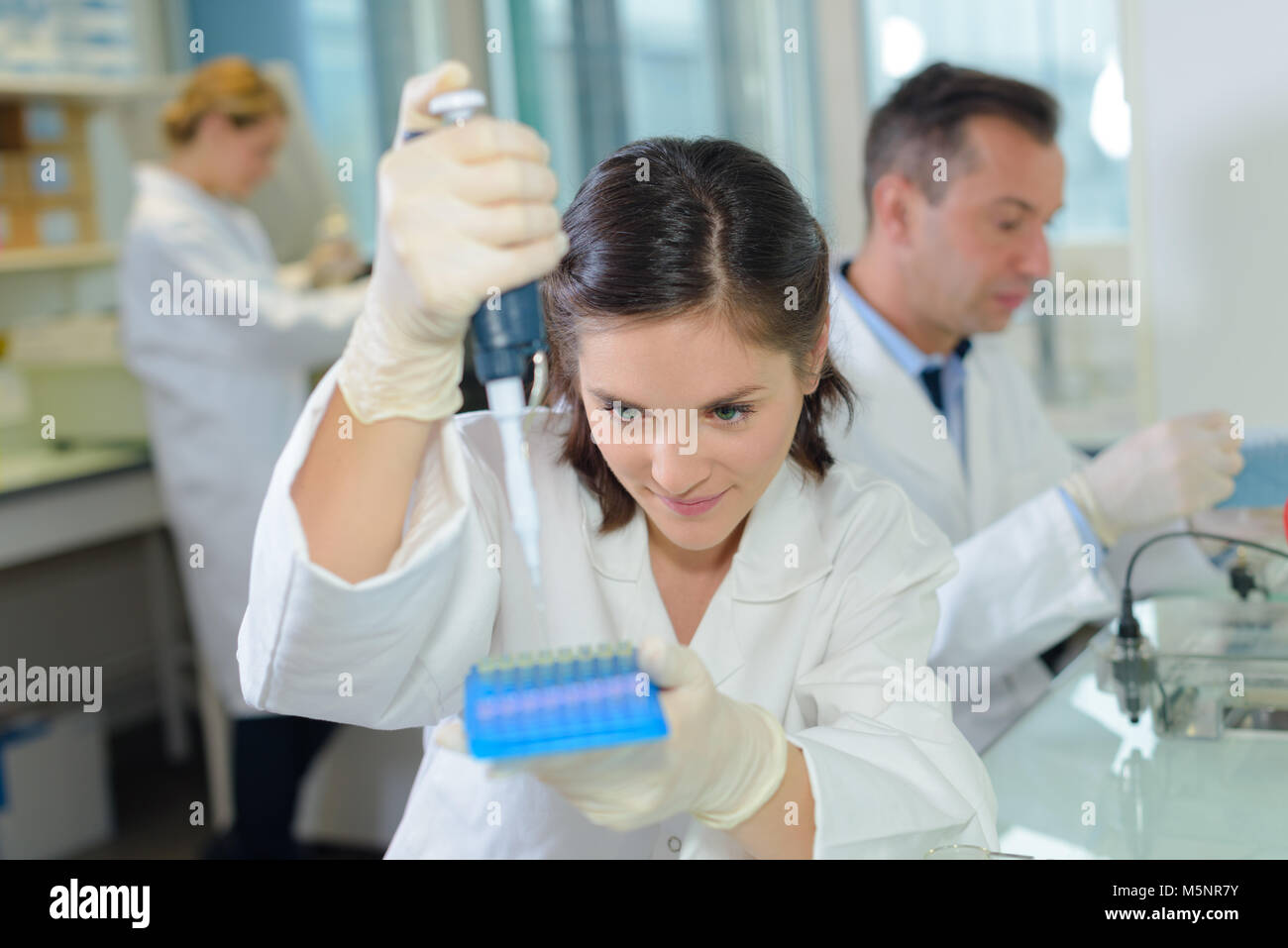 Laboratory technician using a pipette Stock Photo - Alamy
