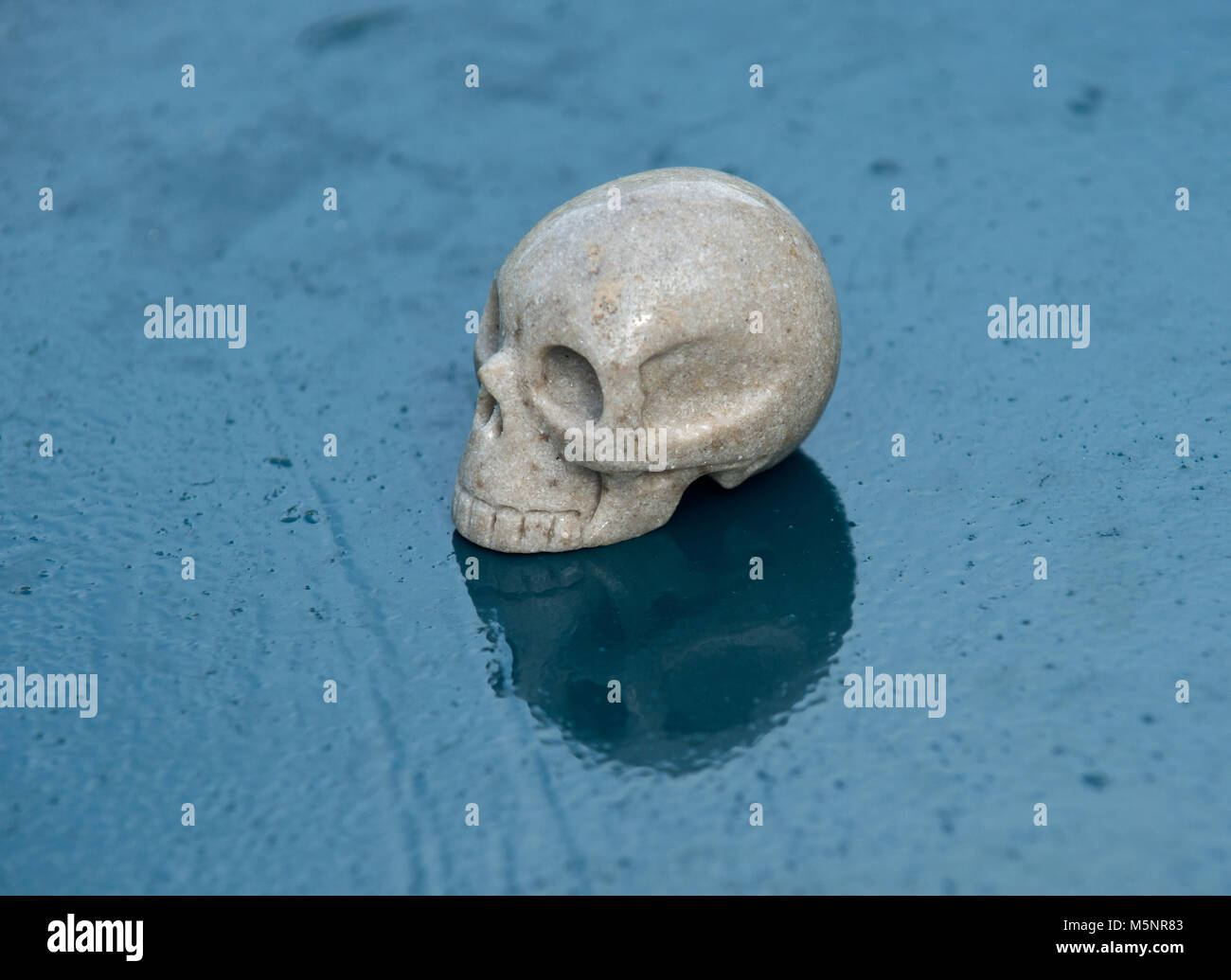 Sarsen stone skull from Avebury sacred site on the ground Stock Photo ...