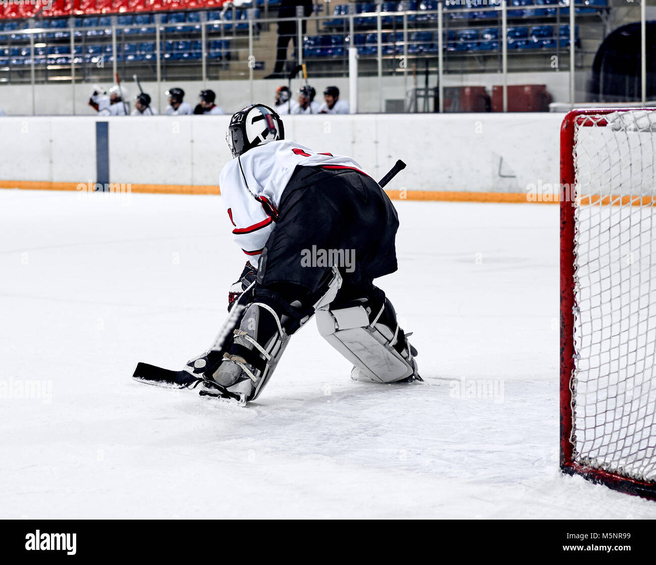 World cup ice hockey hi-res stock photography and images - Alamy
