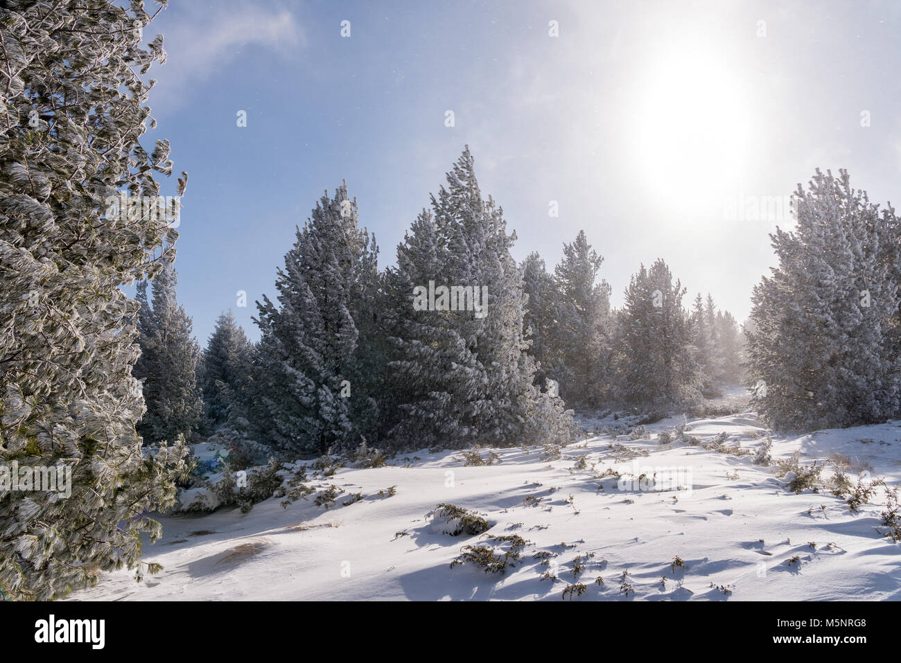 Weather bulgaria hi-res stock photography and images - Alamy