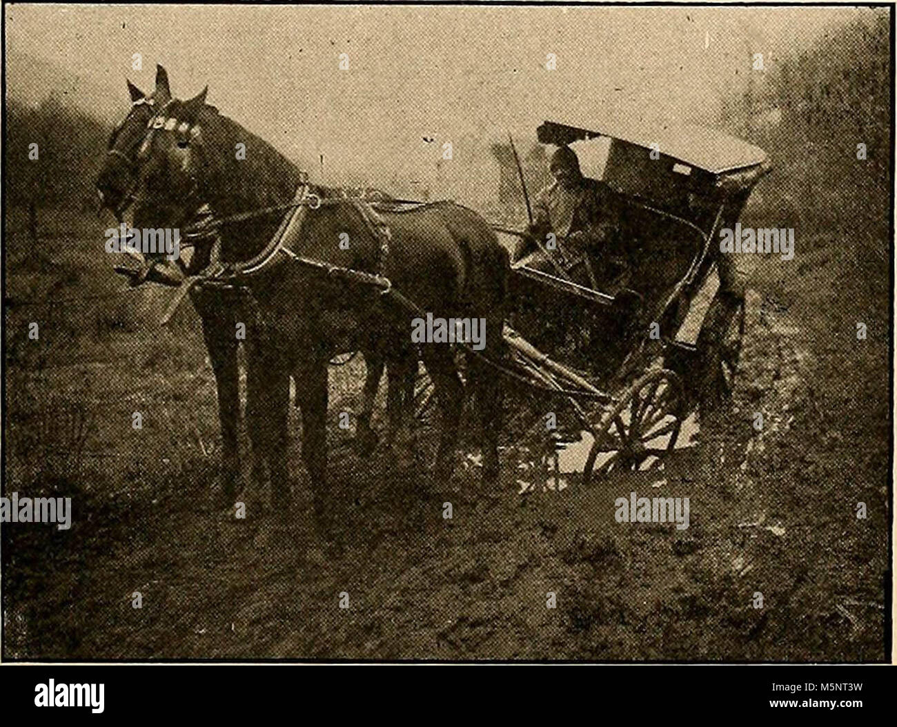 "Southern good roads" (1910 Stock Photo - Alamy
