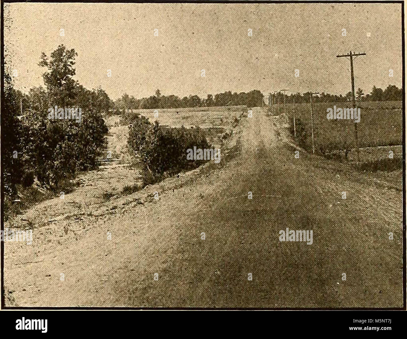 "Southern good roads" (1910 Stock Photo - Alamy