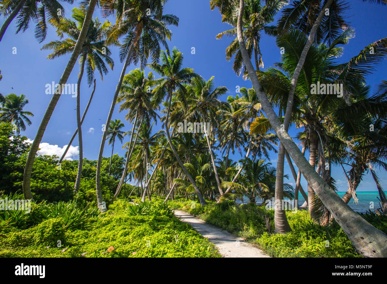 Half Moon Caye National Monument, Turneffe Atoll, Belize Stock Photo ...