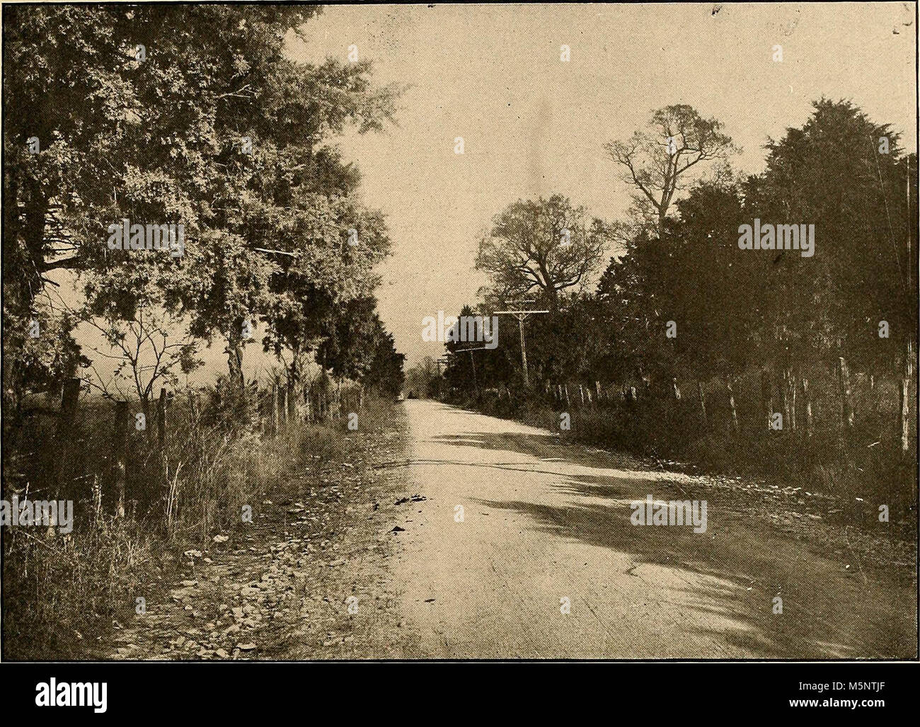 "Southern good roads" (1910 Stock Photo - Alamy