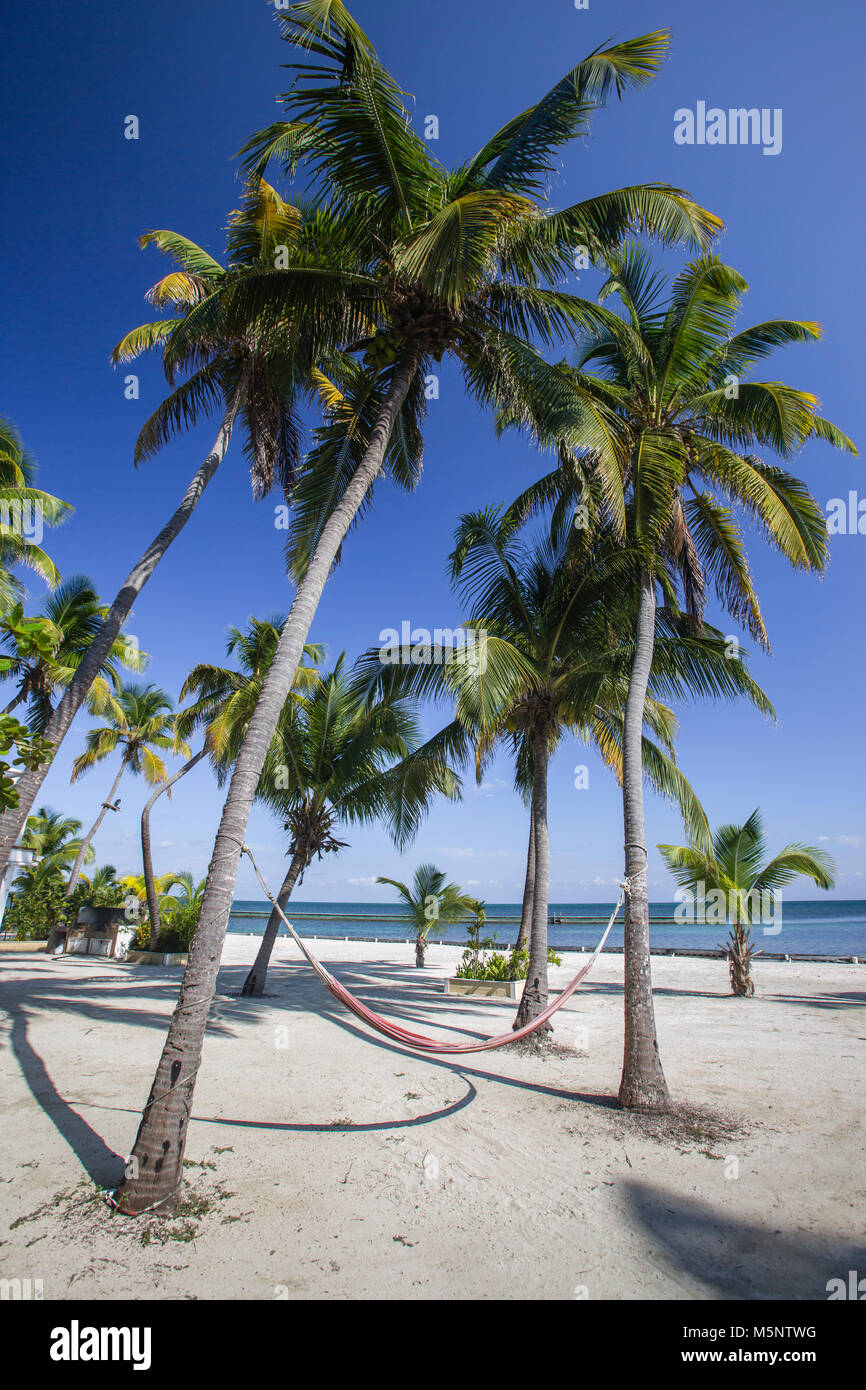 Turneffe Island Resort, Belize Barrier Reef Stock Photo - Alamy