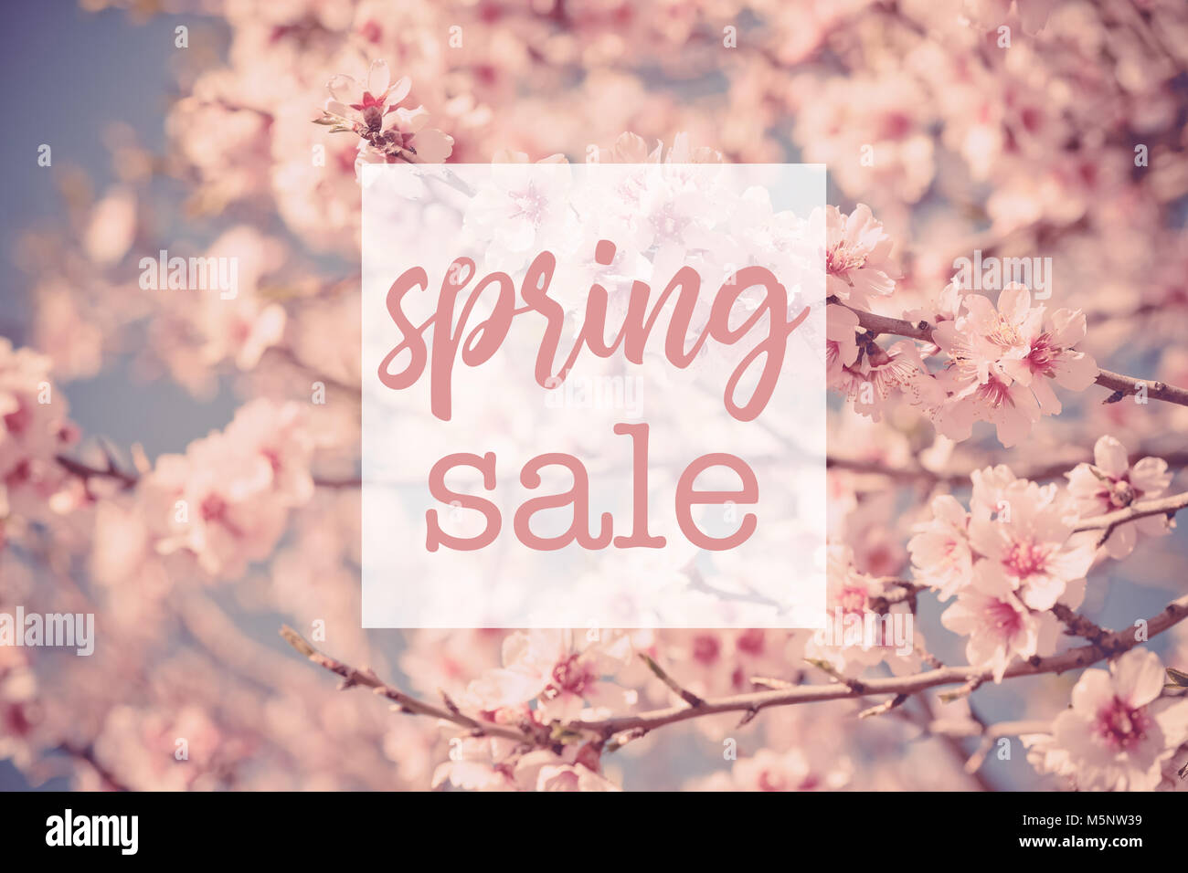 Shopping Spring Sale Text on Pink Flowers Blooming Peach Tree Stock ...
