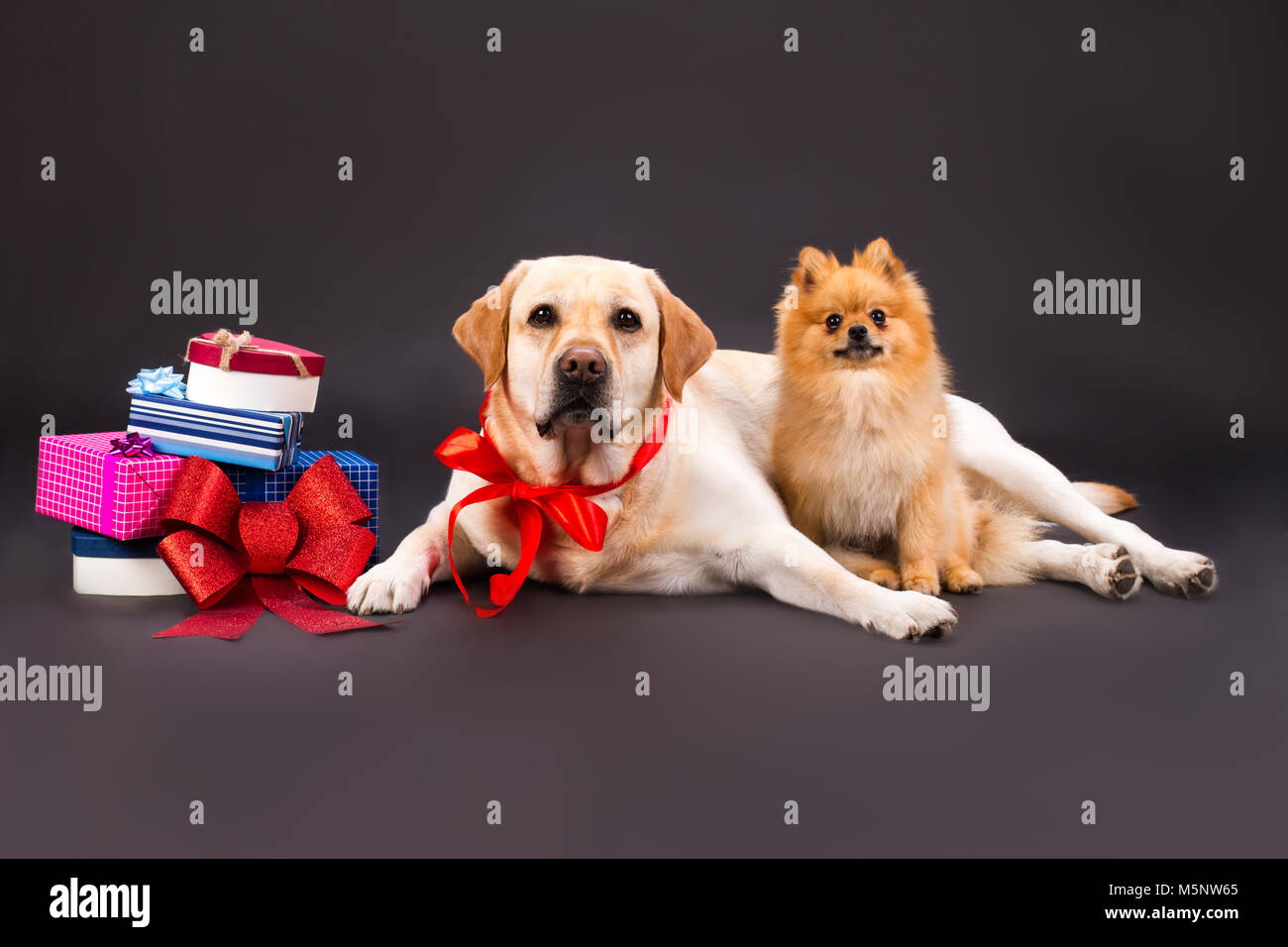 Beautiful shot two blonde hi-res stock photography and images - Alamy