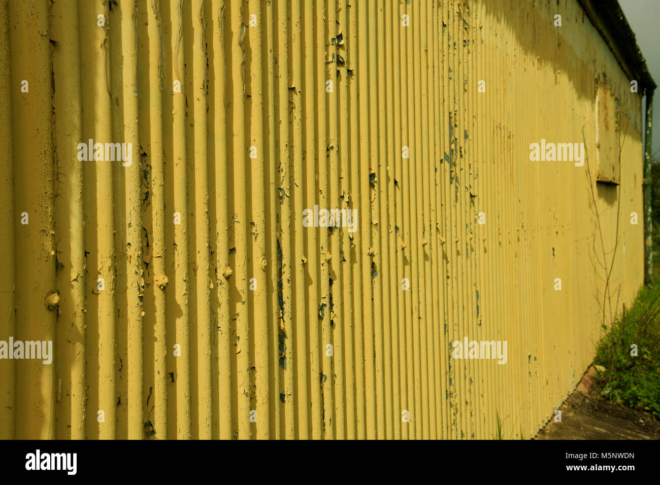 Grunge, vertical lines of neglected yellow wall with the paint flaking ...