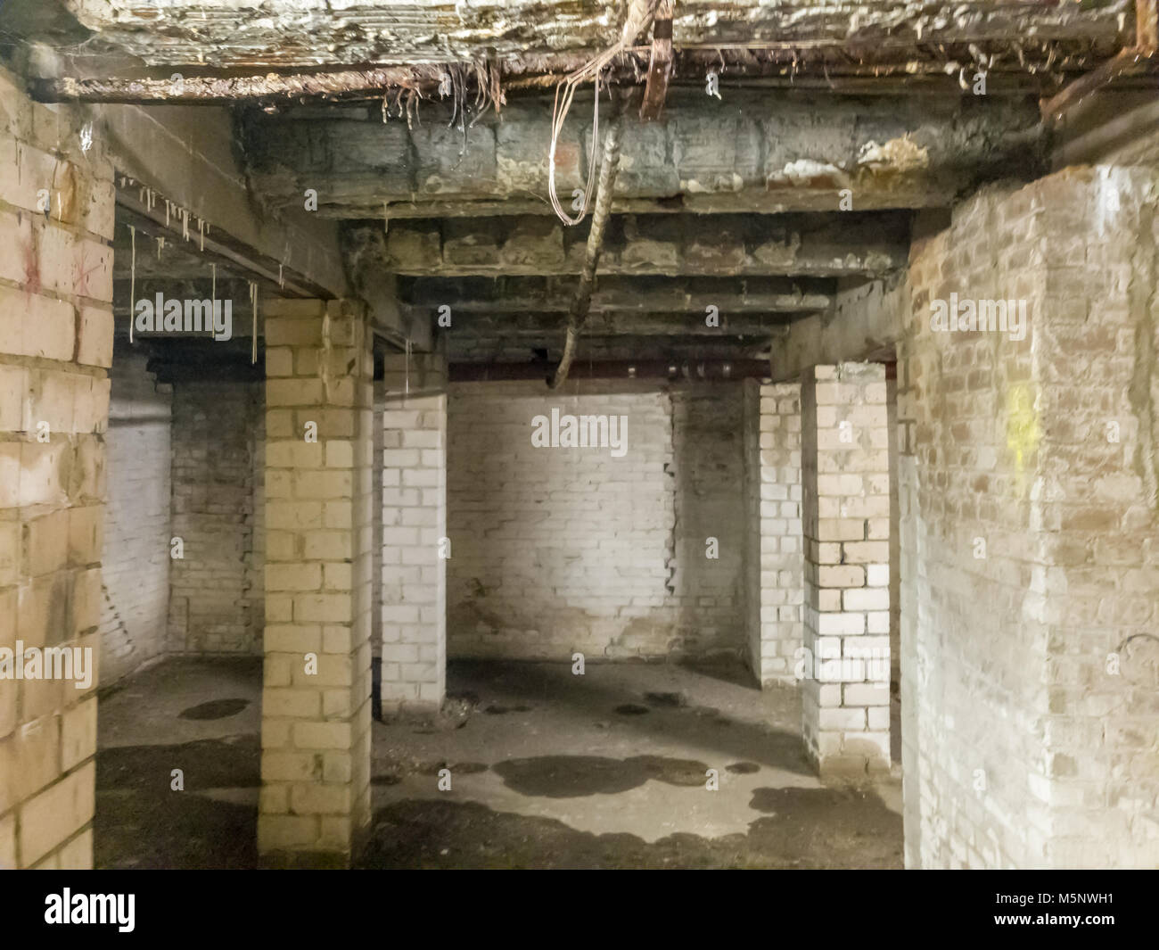 cellar under construction with mold and fungus Stock Photo - Alamy