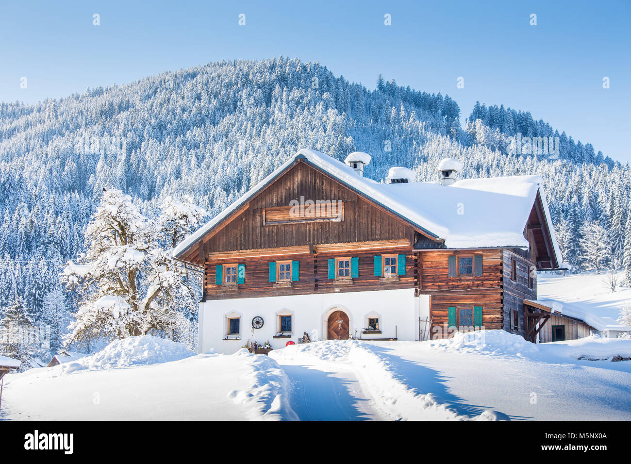 Traditional house in the alps hi-res stock photography and images - Alamy