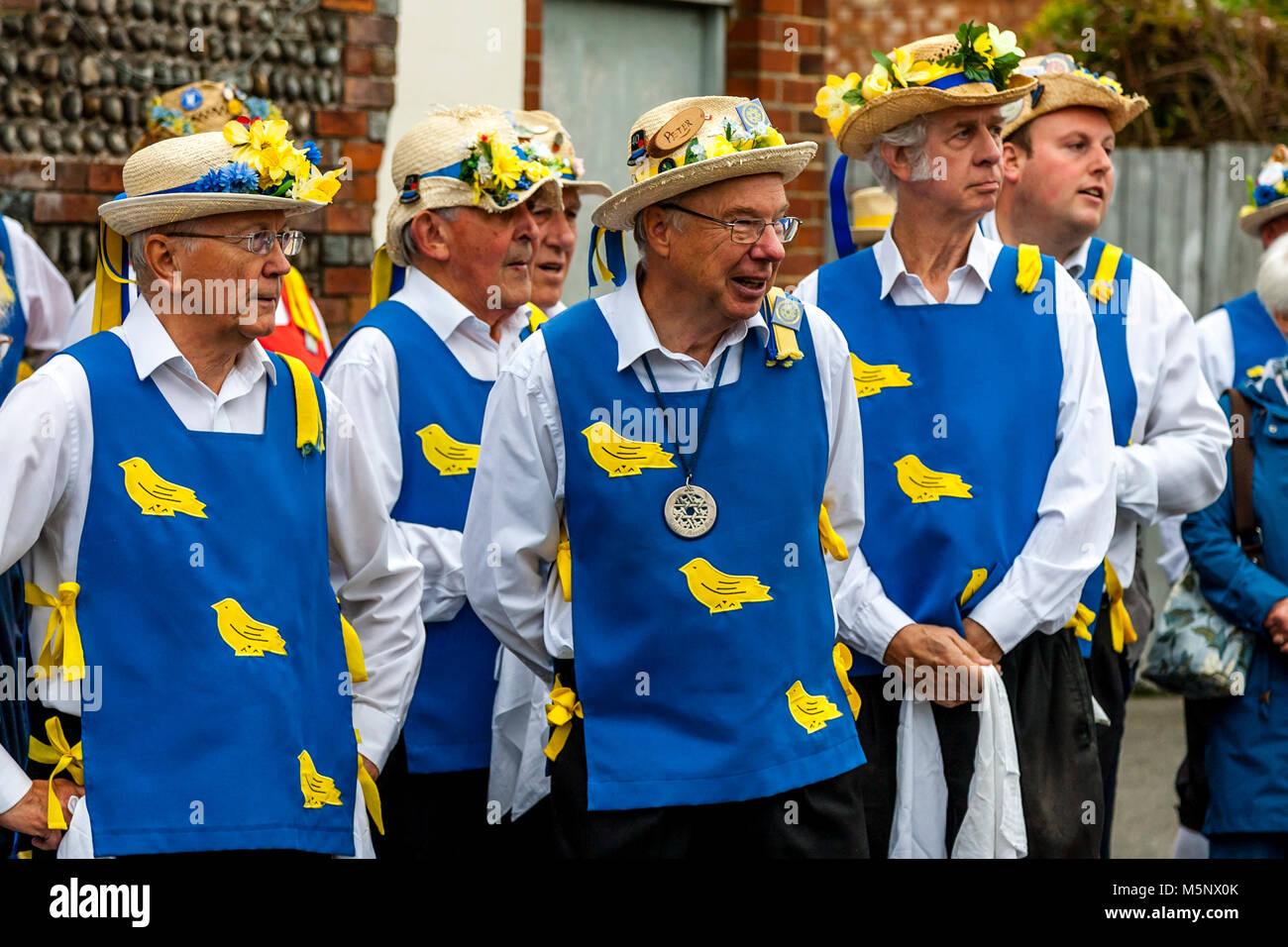 Martlet hi-res stock photography and images - Alamy