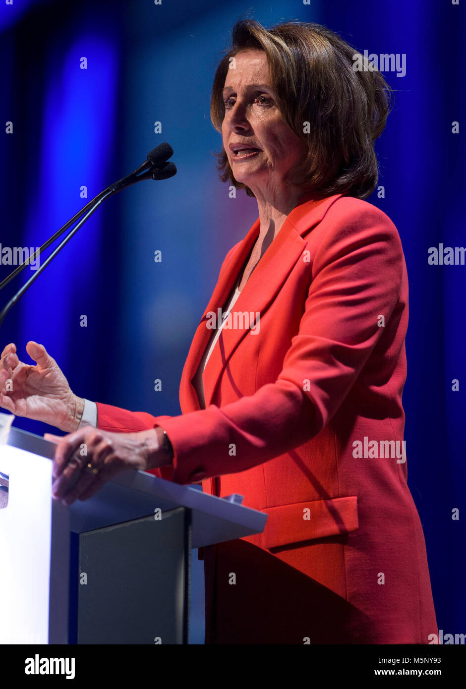 San Diego, California, USA. 24th Feb, 2018. House Democratic Leader ...