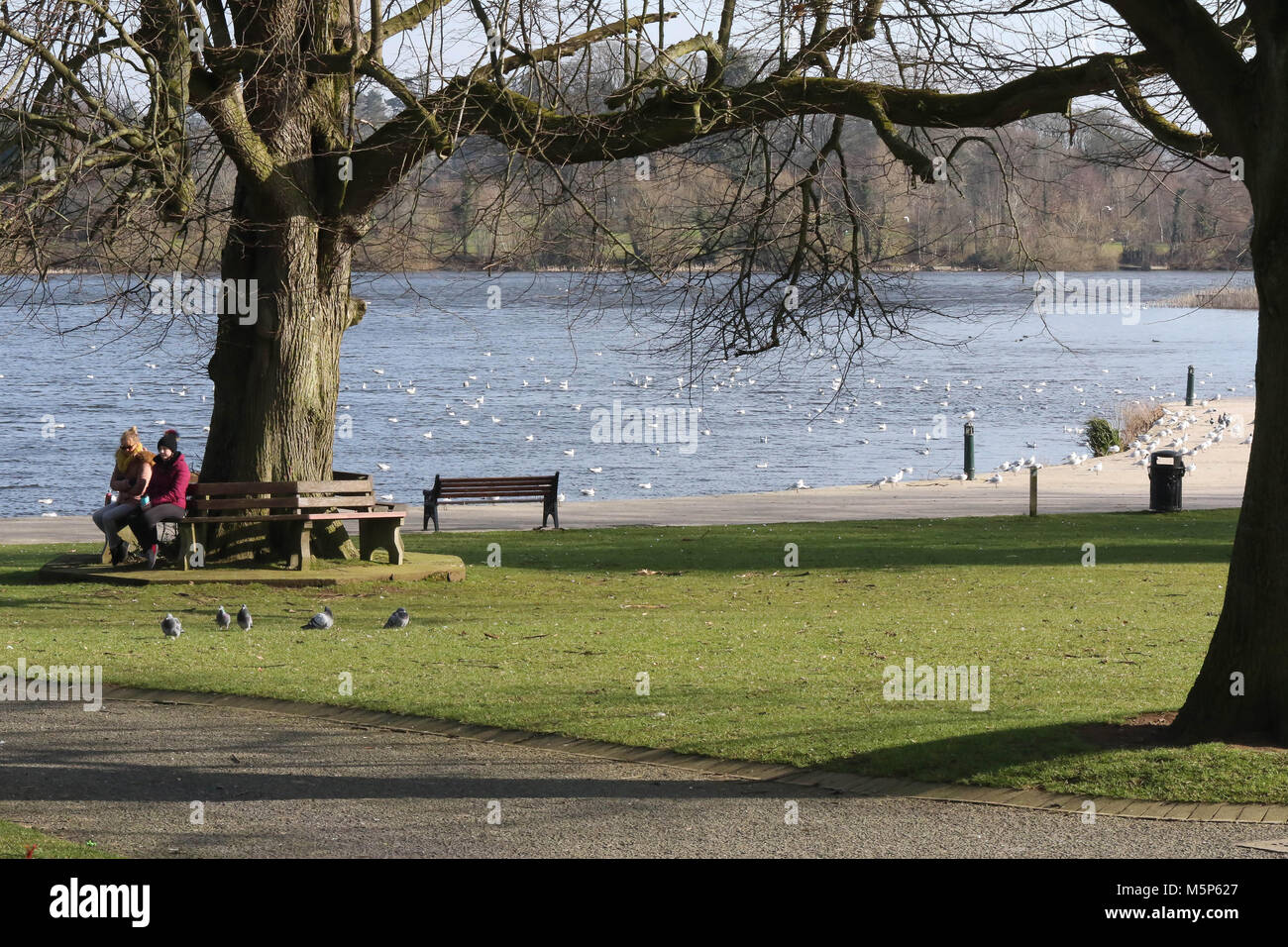 Birds lurgan park hi-res stock photography and images - Alamy