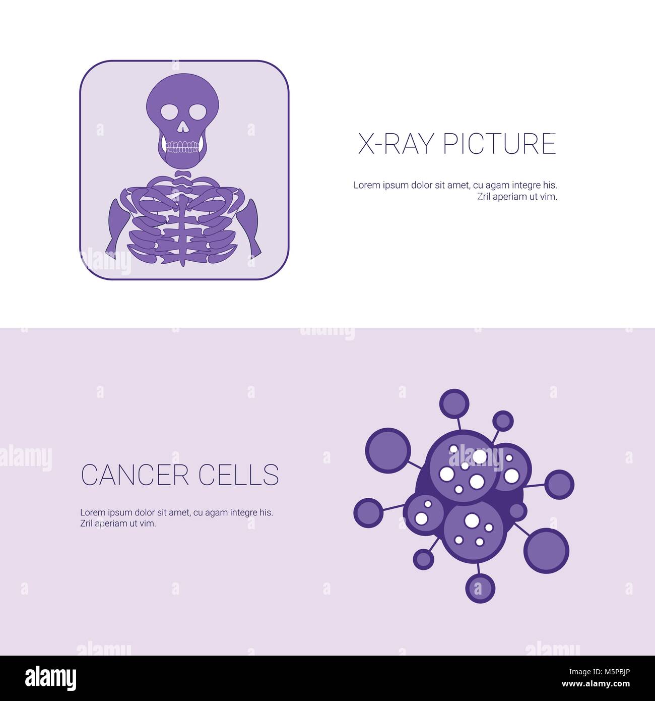 Radiography picture Stock Vector Images - Alamy