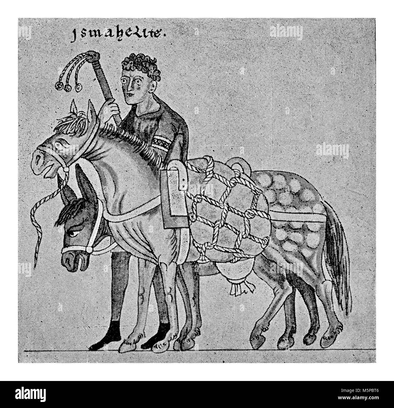 Whip Black and White Stock Photos & Images - Alamy