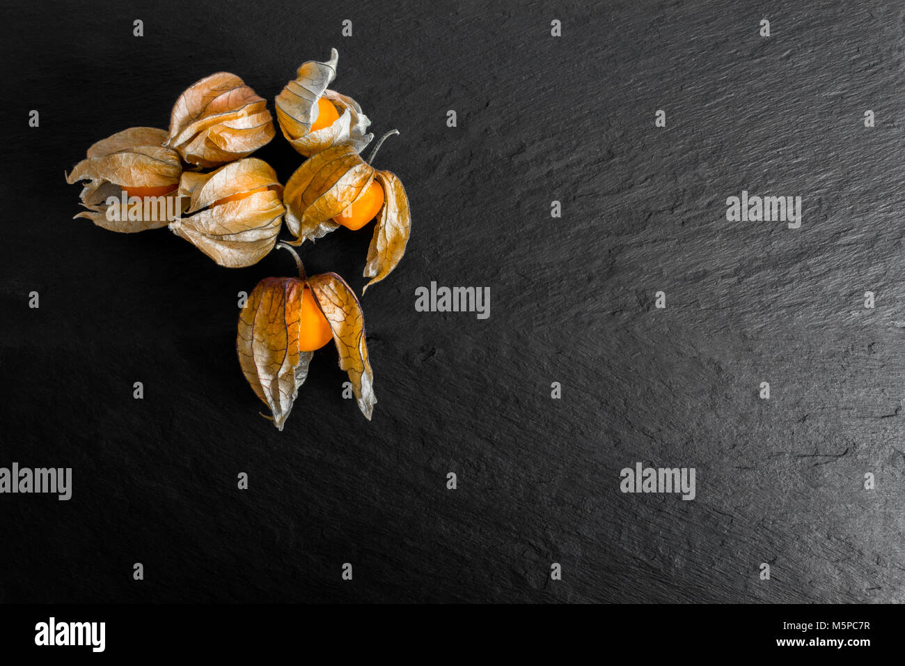 Cape Gooseberries with shells on black rock surface background with the ...