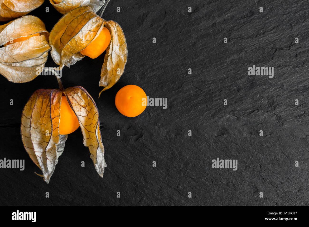 Cape Gooseberries with shells on black rock surface background with the ...