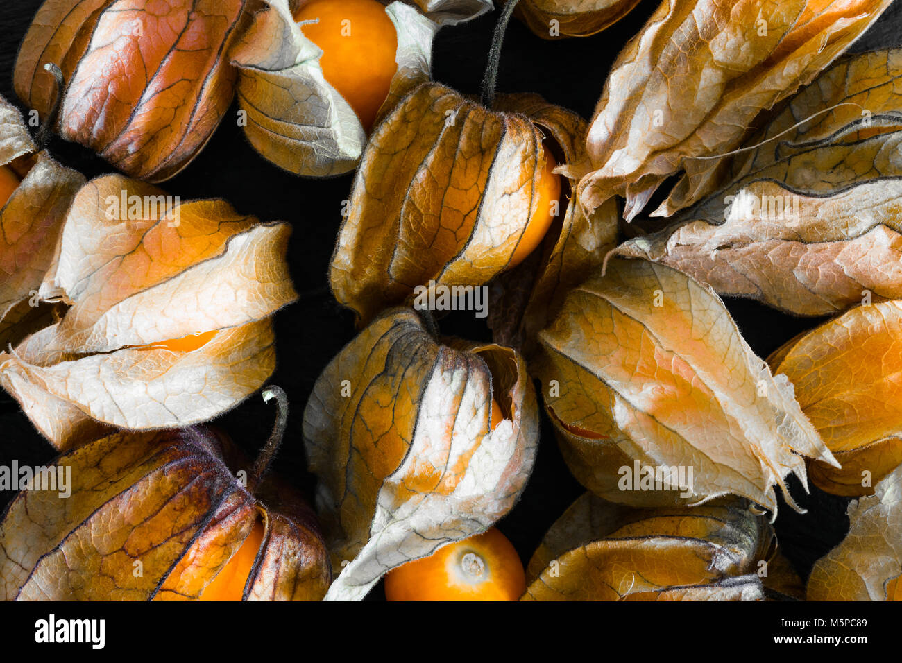 Cape Gooseberries with shells on black rock surface background Stock ...