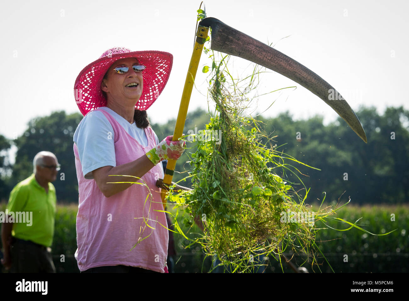 The Netherlands. Elspeet. 26-08-2017. Dutch Championship scything Stock ...