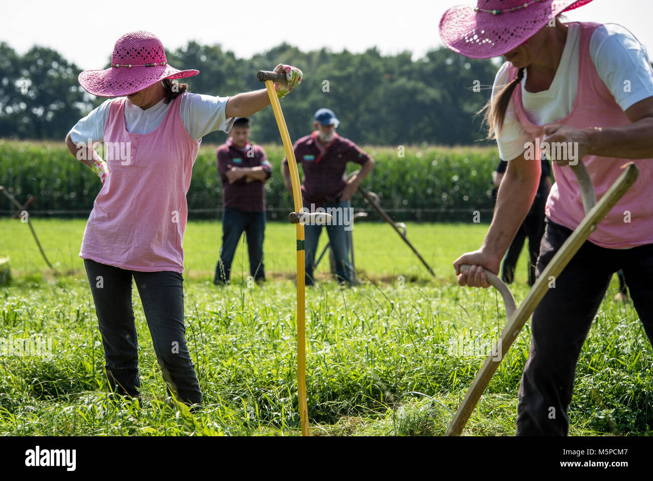 The Netherlands. Elspeet. 26-08-2017. Dutch Championship scything Stock ...