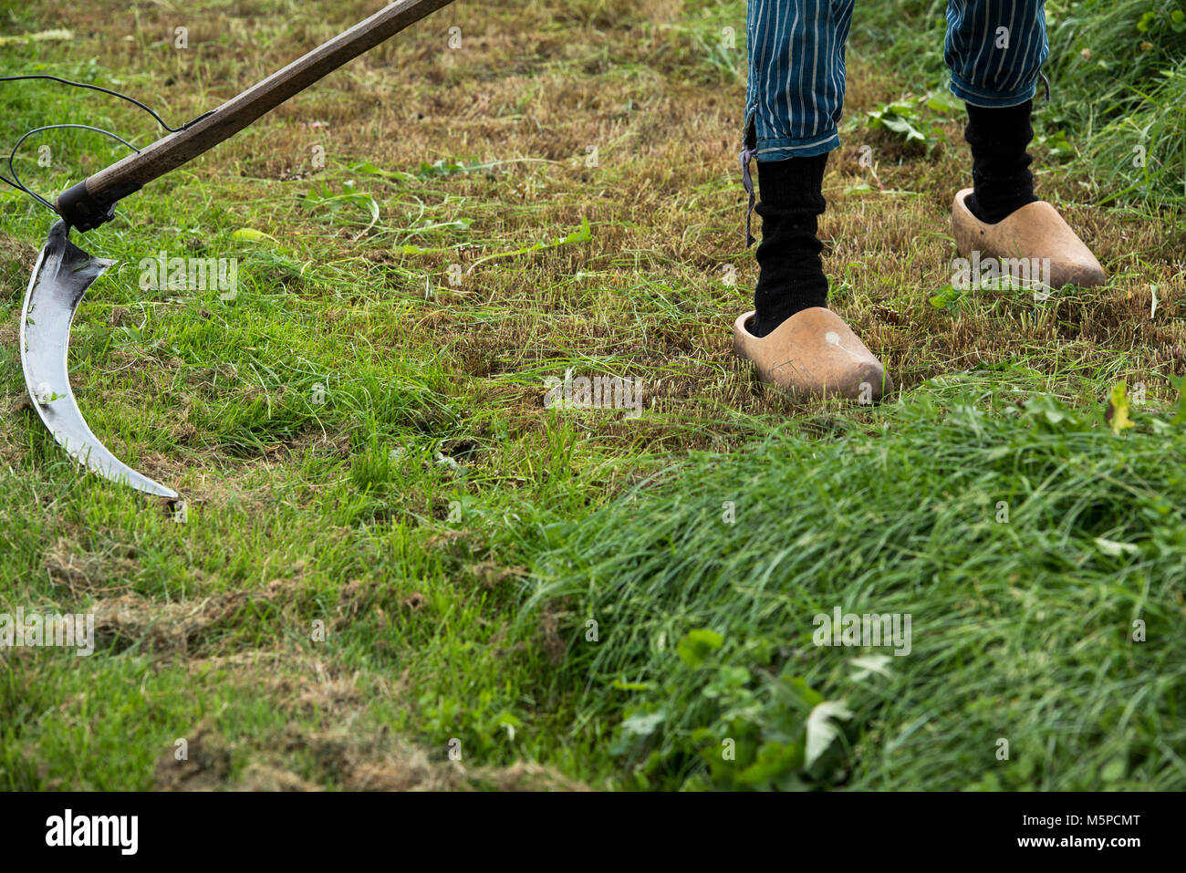 Dutch farmers clogs hi-res stock photography and images - Alamy