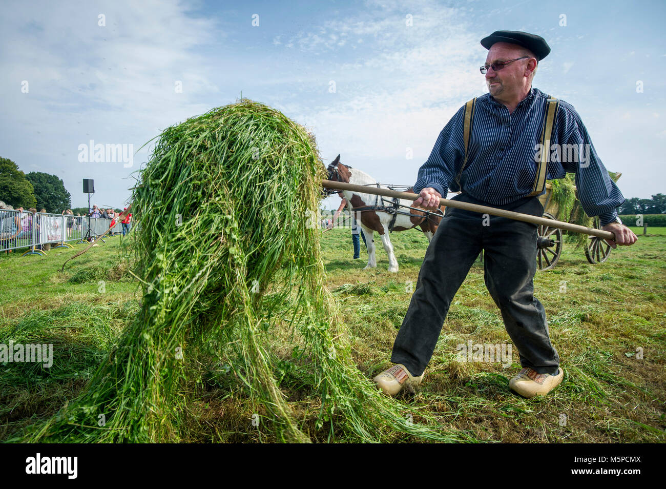 The Netherlands. Elspeet. 26-08-2017. Dutch Championship scything Stock ...