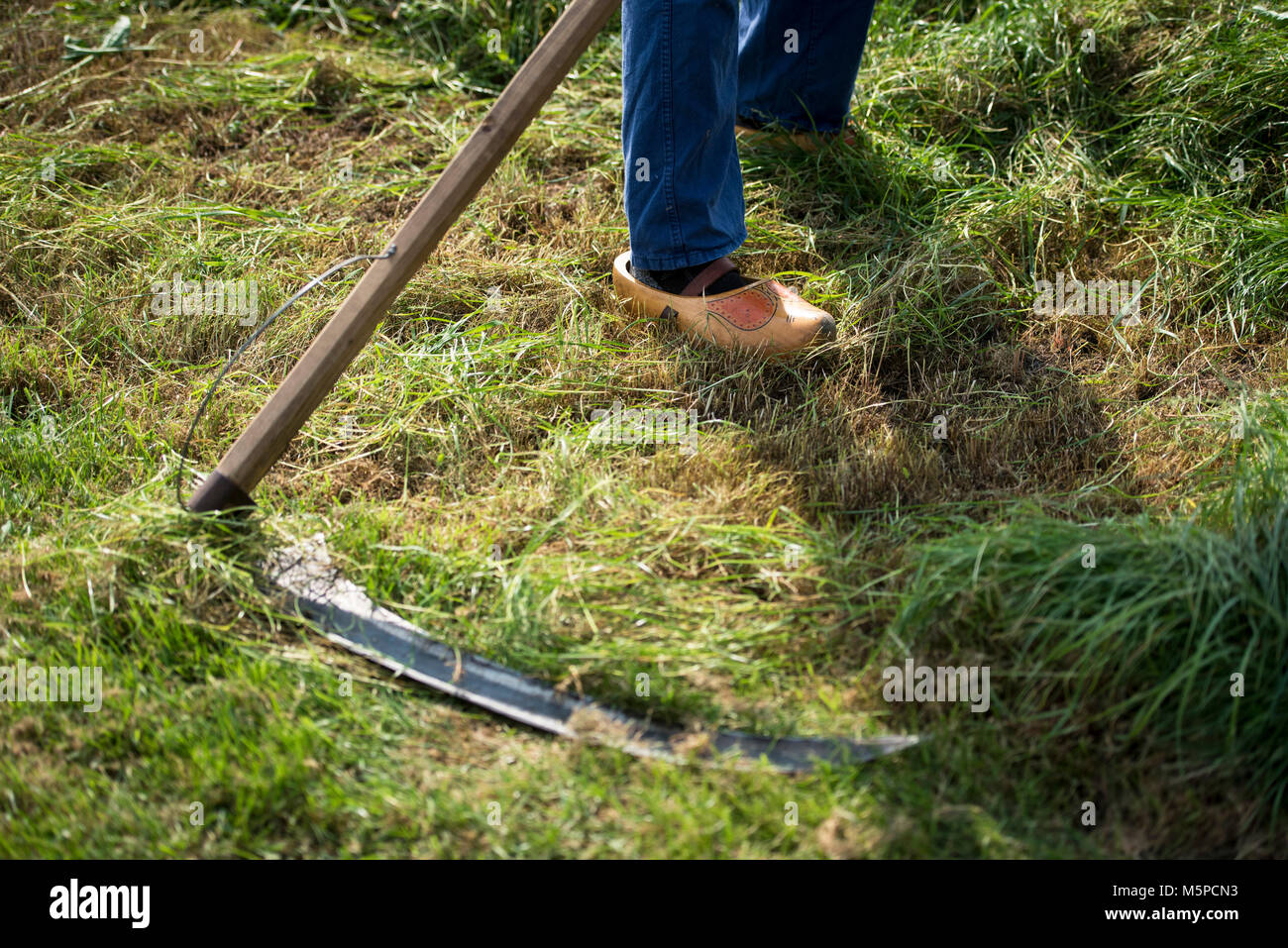 Dutch farmers clogs hi-res stock photography and images - Alamy