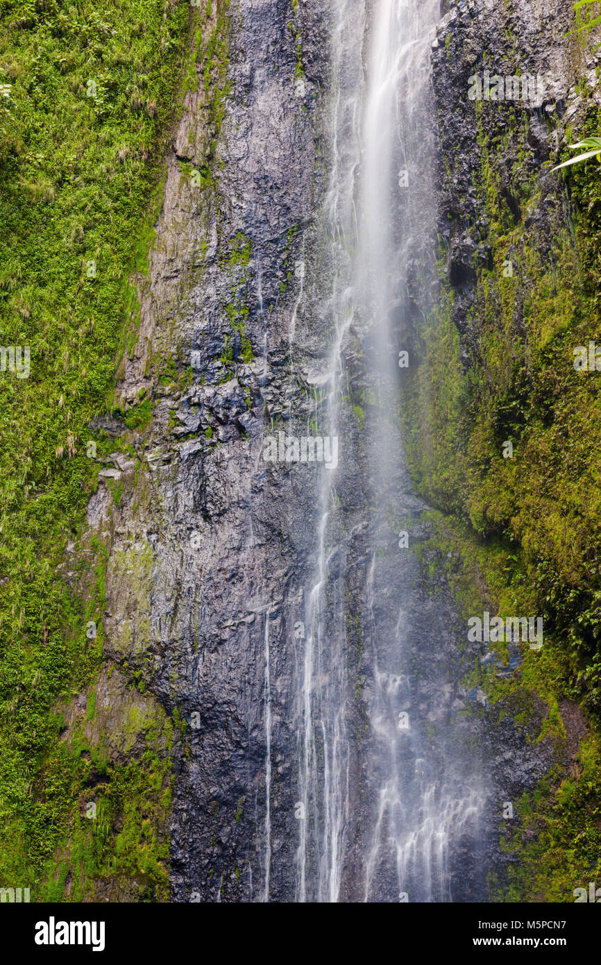 San Ramon Waterfalls on Ometepe Island. Managua, Nicaragua Stock Photo ...
