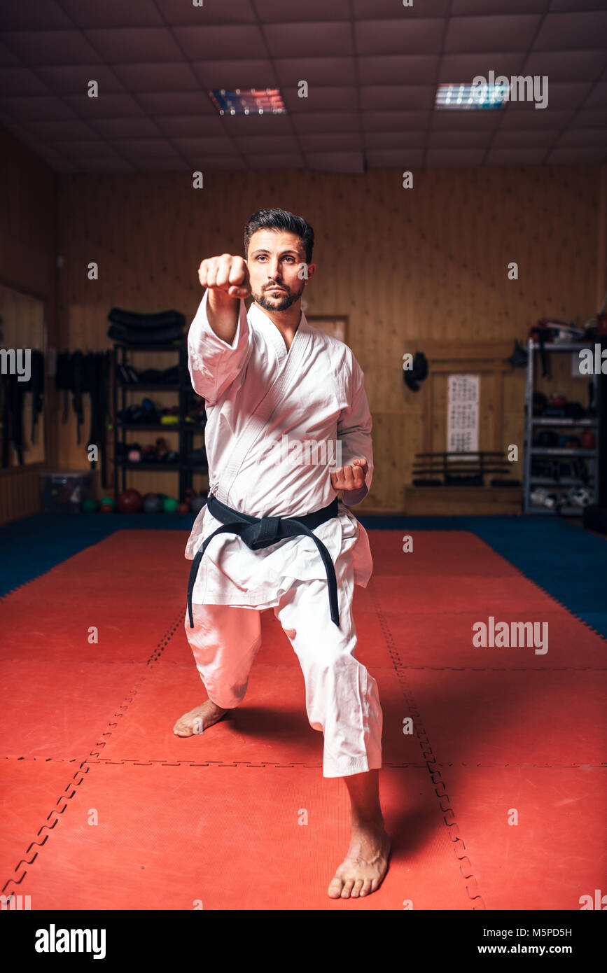 Martial arts karate master in white kimono and black belt on fight ...