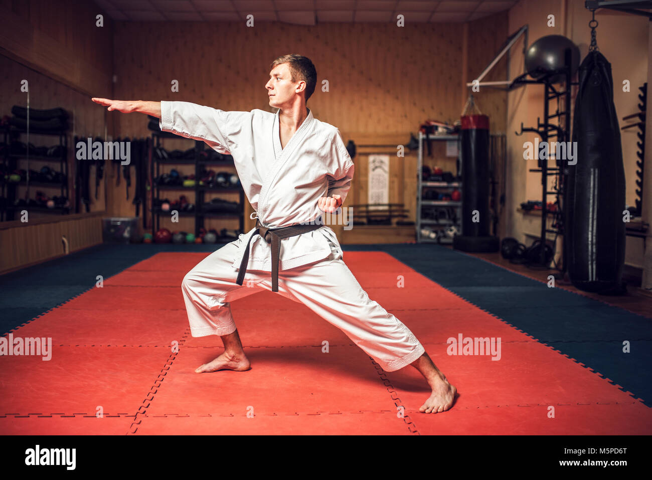 Martial arts karate master in white kimono and black belt on fight ...