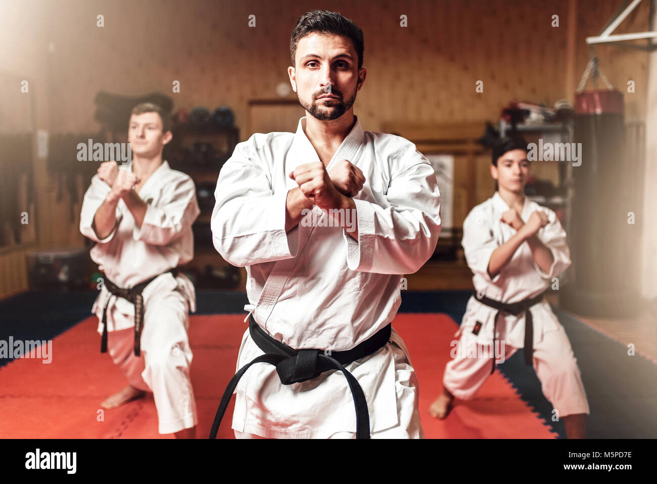 Martial arts karate fighters, master and his disciples in white kimono ...