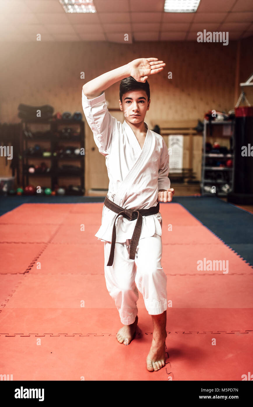 Martial arts karate master in white kimono and black belt on fight ...