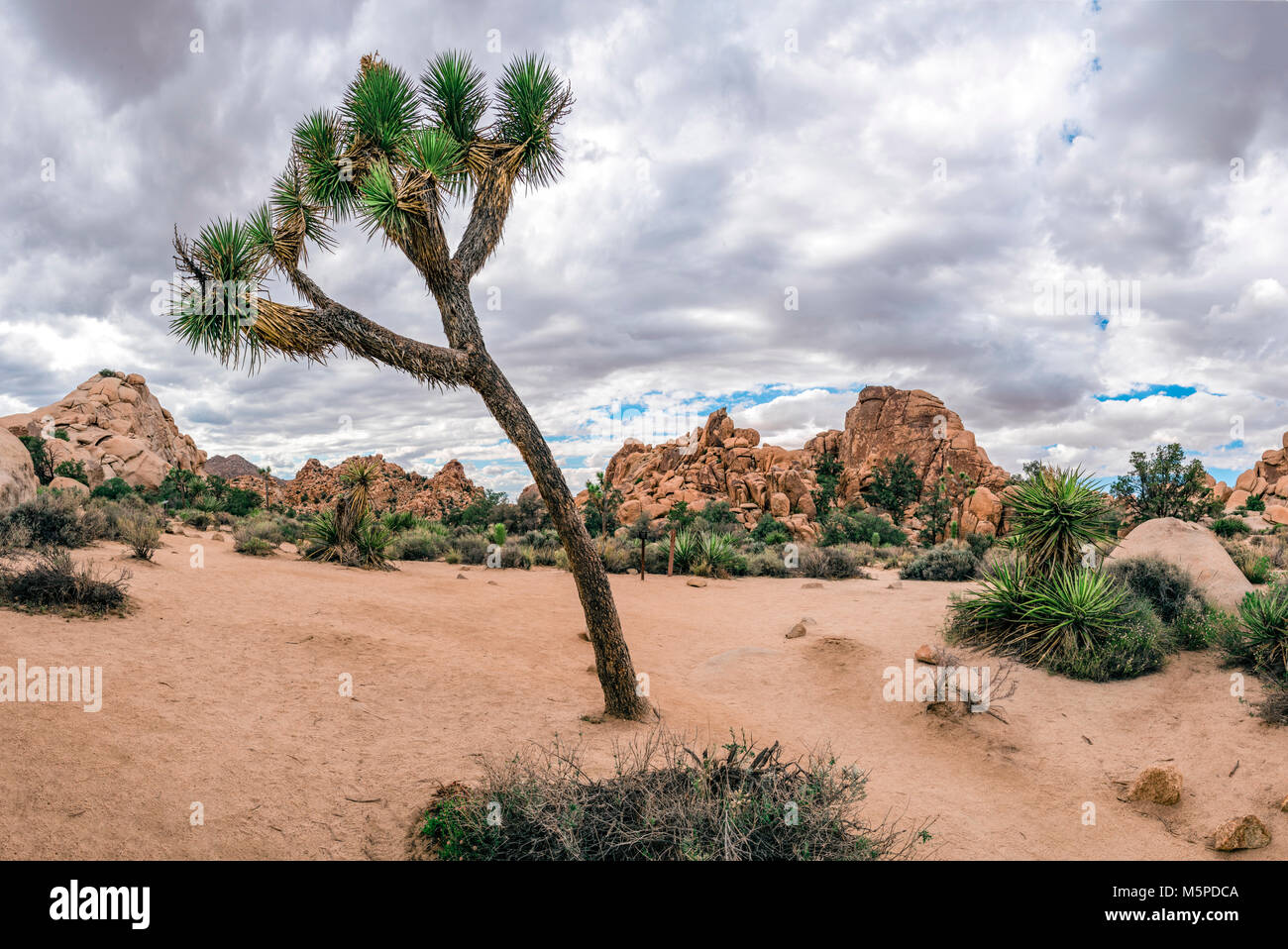 Hidden Valley, Joshua Tree National Park, California, USA Stock Photo ...