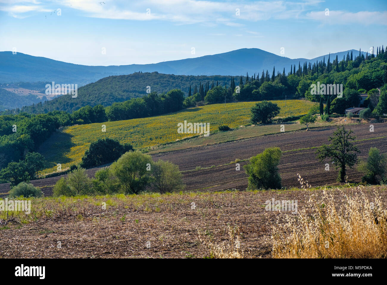 Amelia (Terni, Umbria, Italy): park of the historic Villa Aspreta, near ...