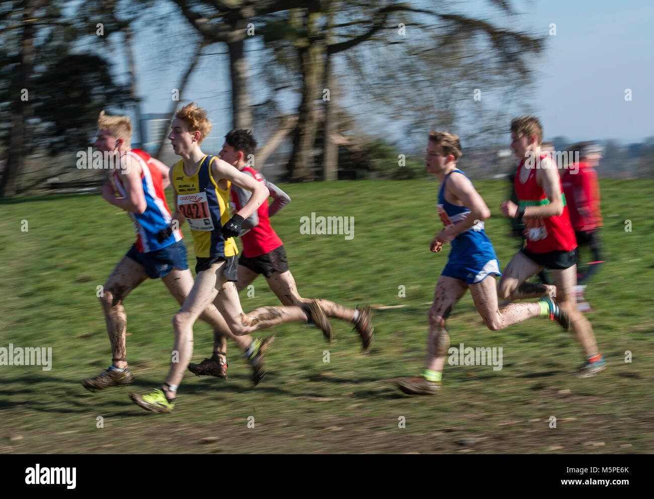 English National Cross Country Championships 2018 Stock Photo - Alamy