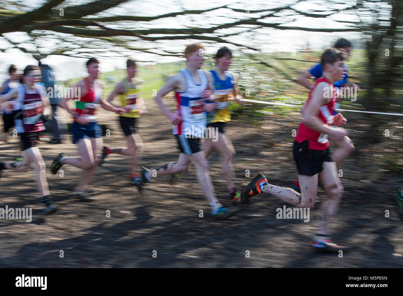 English National Cross Country Championships 2018 Stock Photo - Alamy
