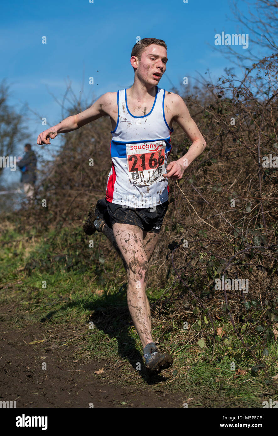 English National Cross Country Championships 2018 Stock Photo - Alamy
